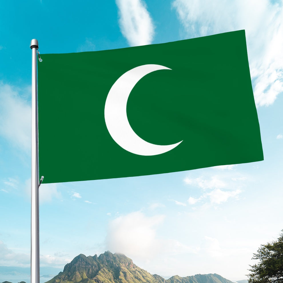 Flag of Hammadids - Flags - Islamic Histories