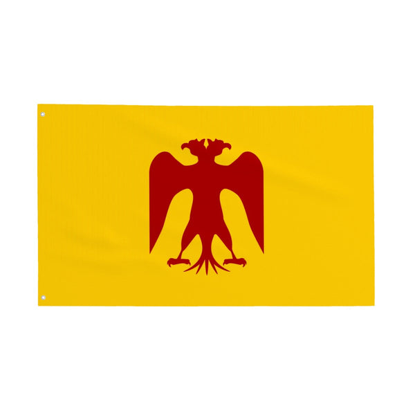 Flag of Ayyoubides - Flags - Islamic Histories