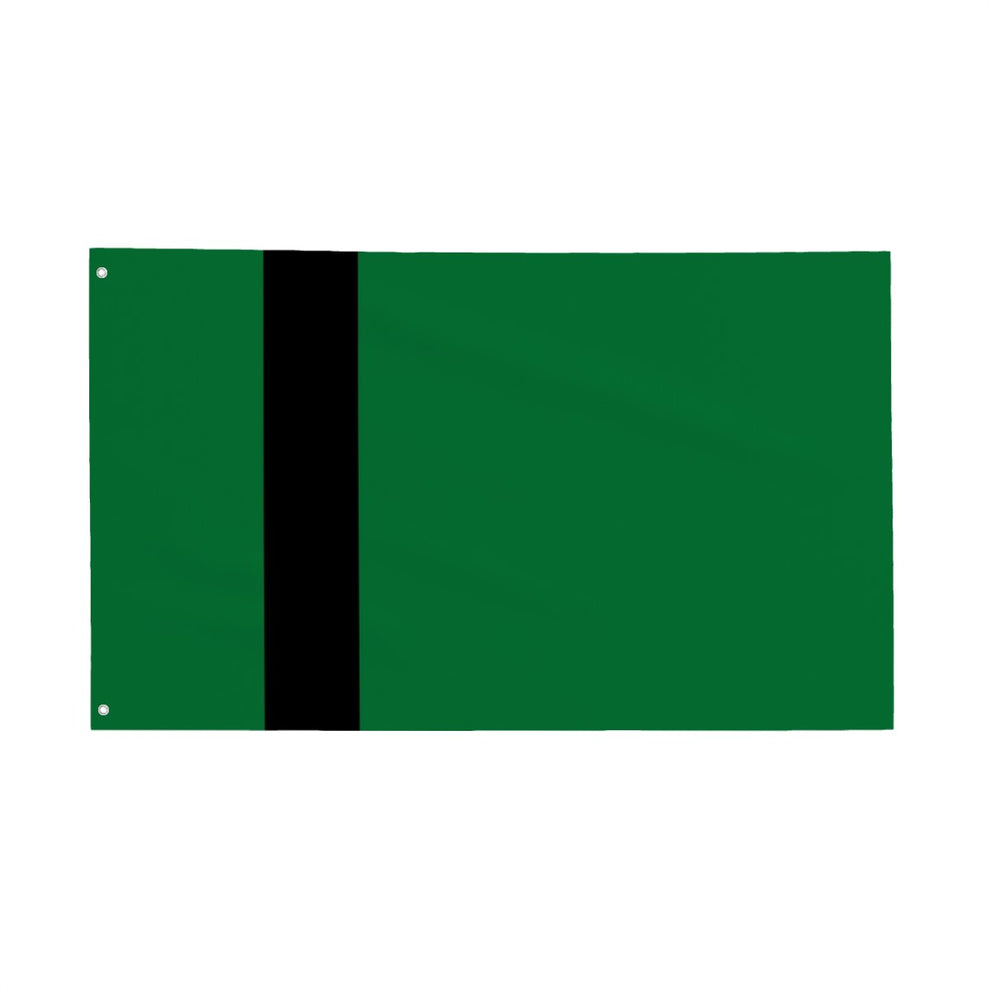 Flag of the Delhi Sultanate (Tughlaq) – Islamic Histories
